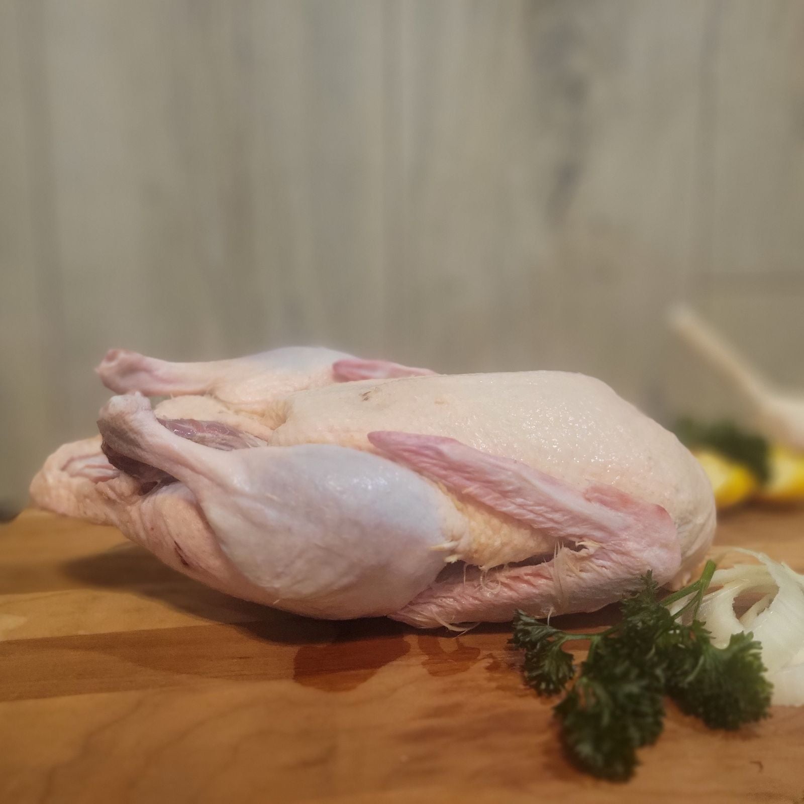 Pastured Duck – Meadow Song Farms