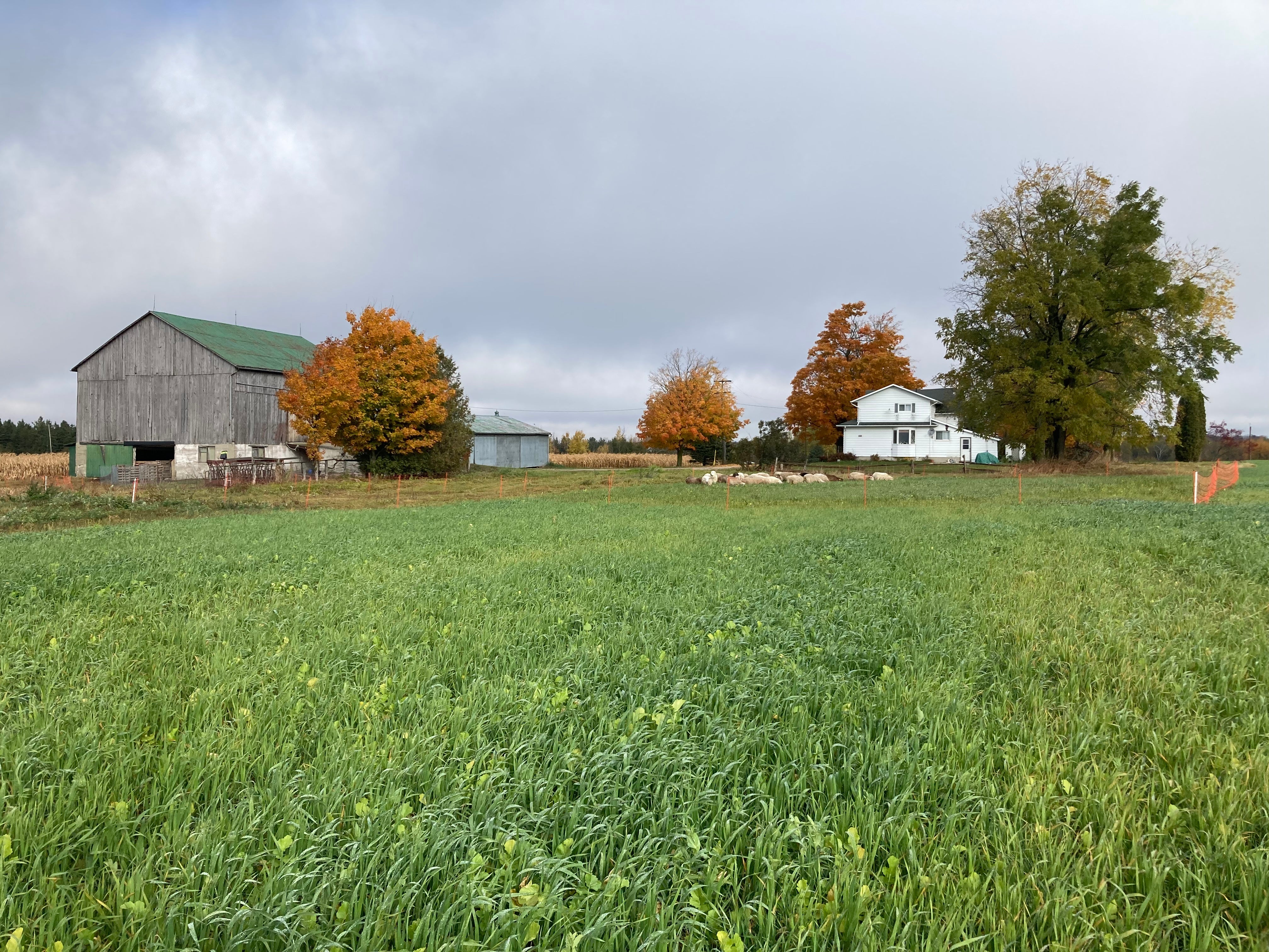 Delivery Details & Map – Meadow Song Farms